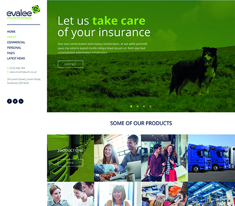 Home - Evalee Insurance Brokers
